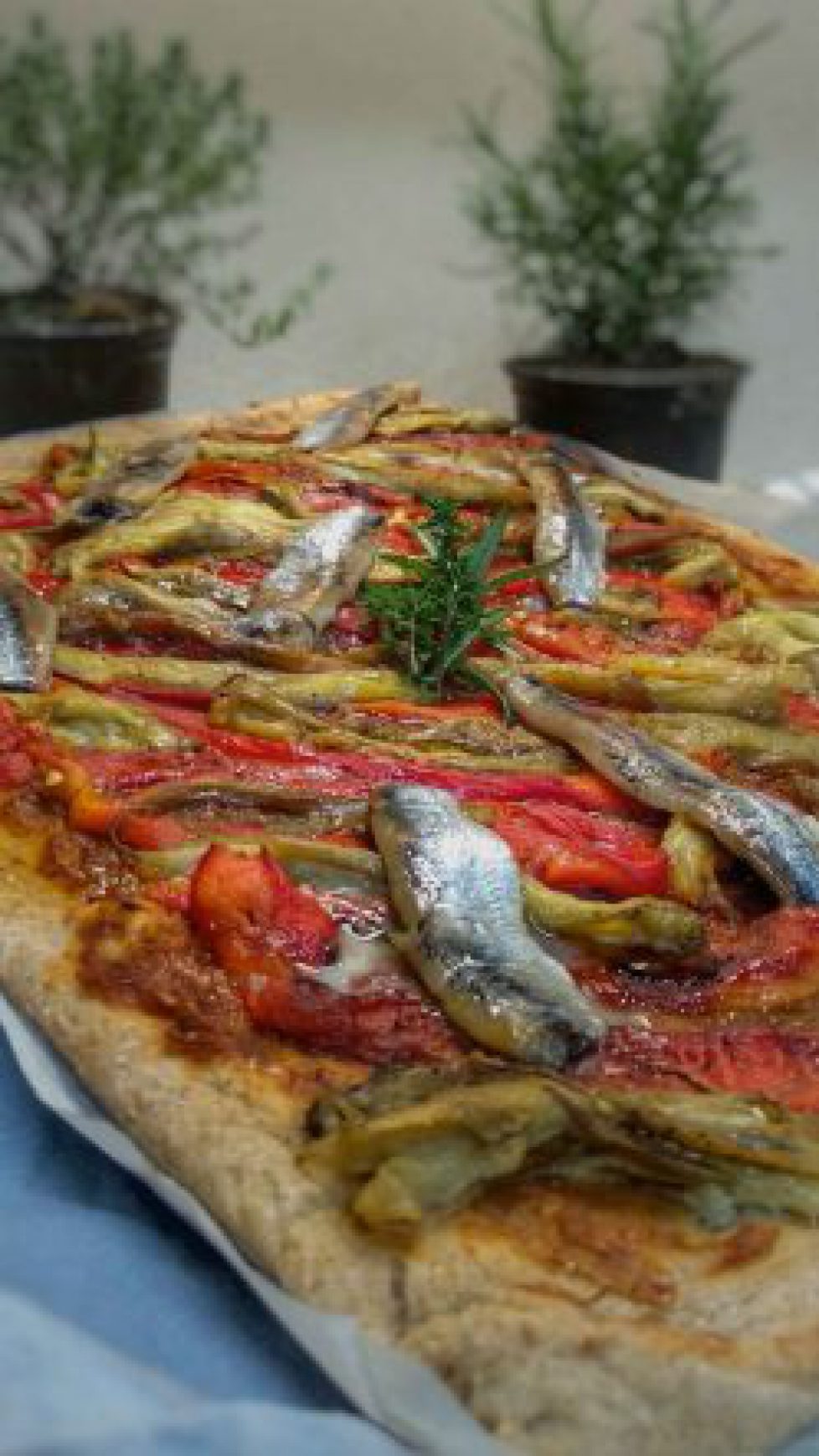 COCA de RECAPTE, recepta saludable amb farina integral d'ESPELTA